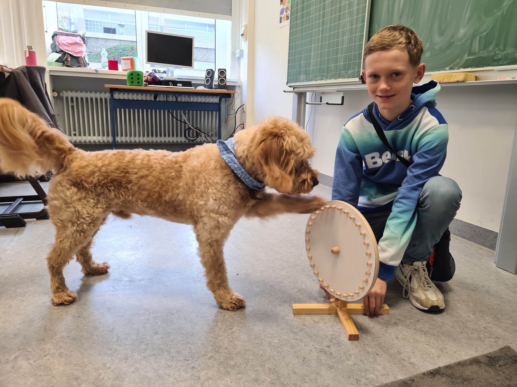 Schulhunde nun Teil des Schulprogramms - Ziehenschule - Gymnasium der Stadt Frankfurt am Main ...